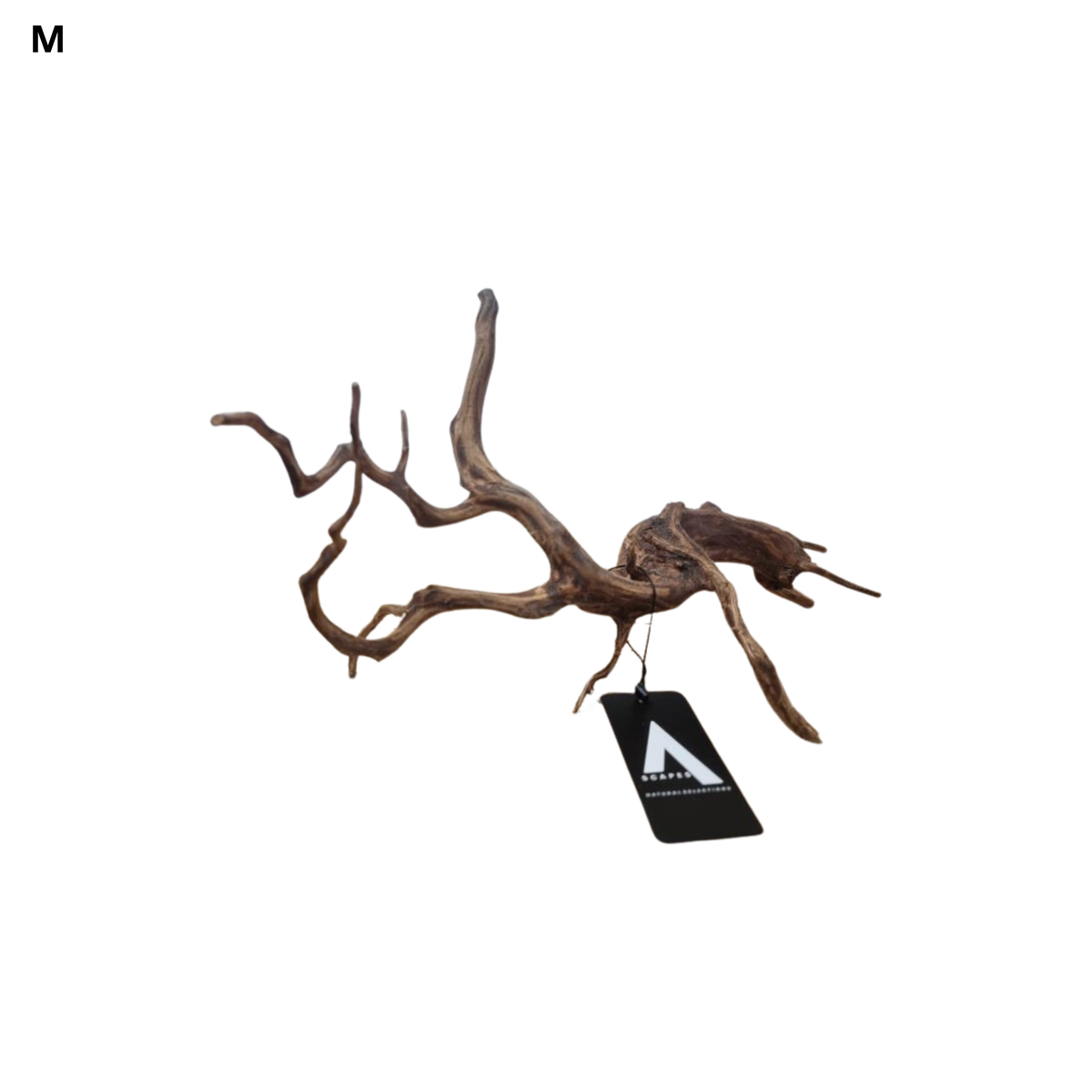 ASCAPES Tiger Driftwood – Aura Aquarium