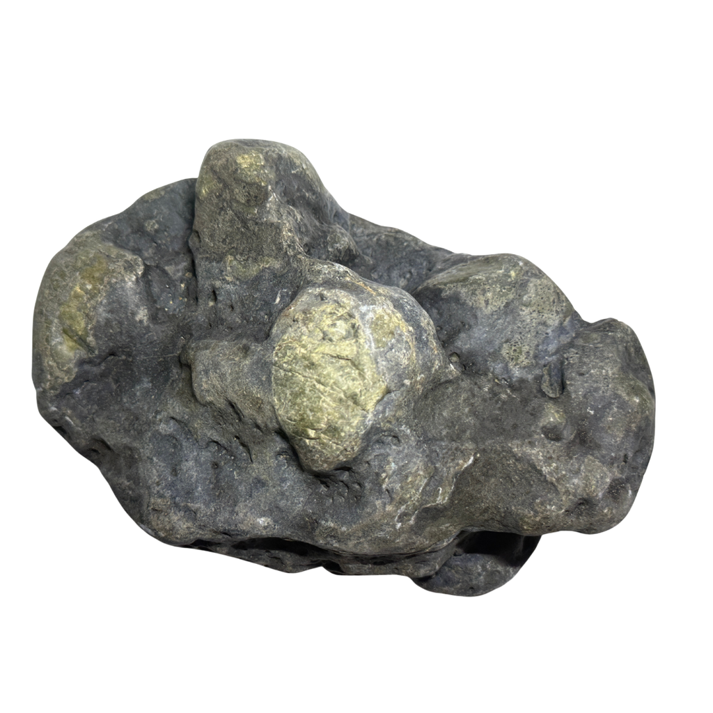 Hakkai Stone – Aura Aquarium