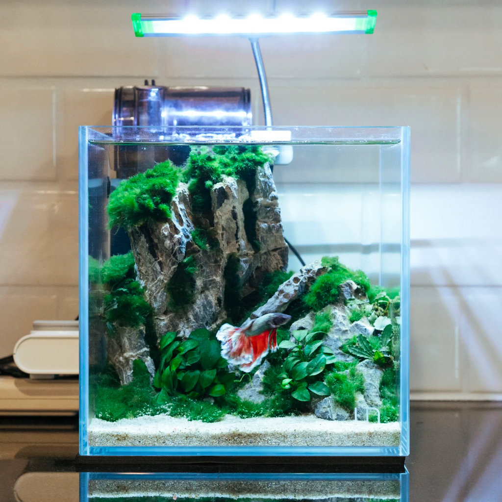 Dymax Slim Flo Hang On Filter SF-120 (110L/h, 20L) – Aura Aquarium